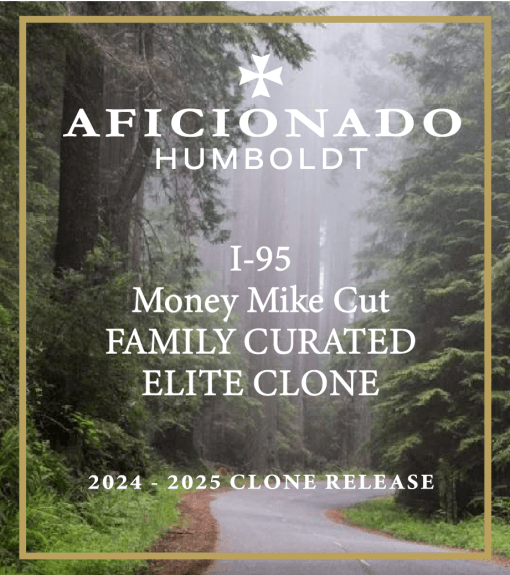 I-95 $Mike Cut – Aficionado Store