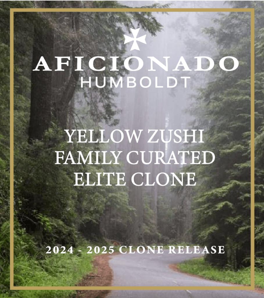 AFICIONADO CLONES – Page 2 – Aficionado Store