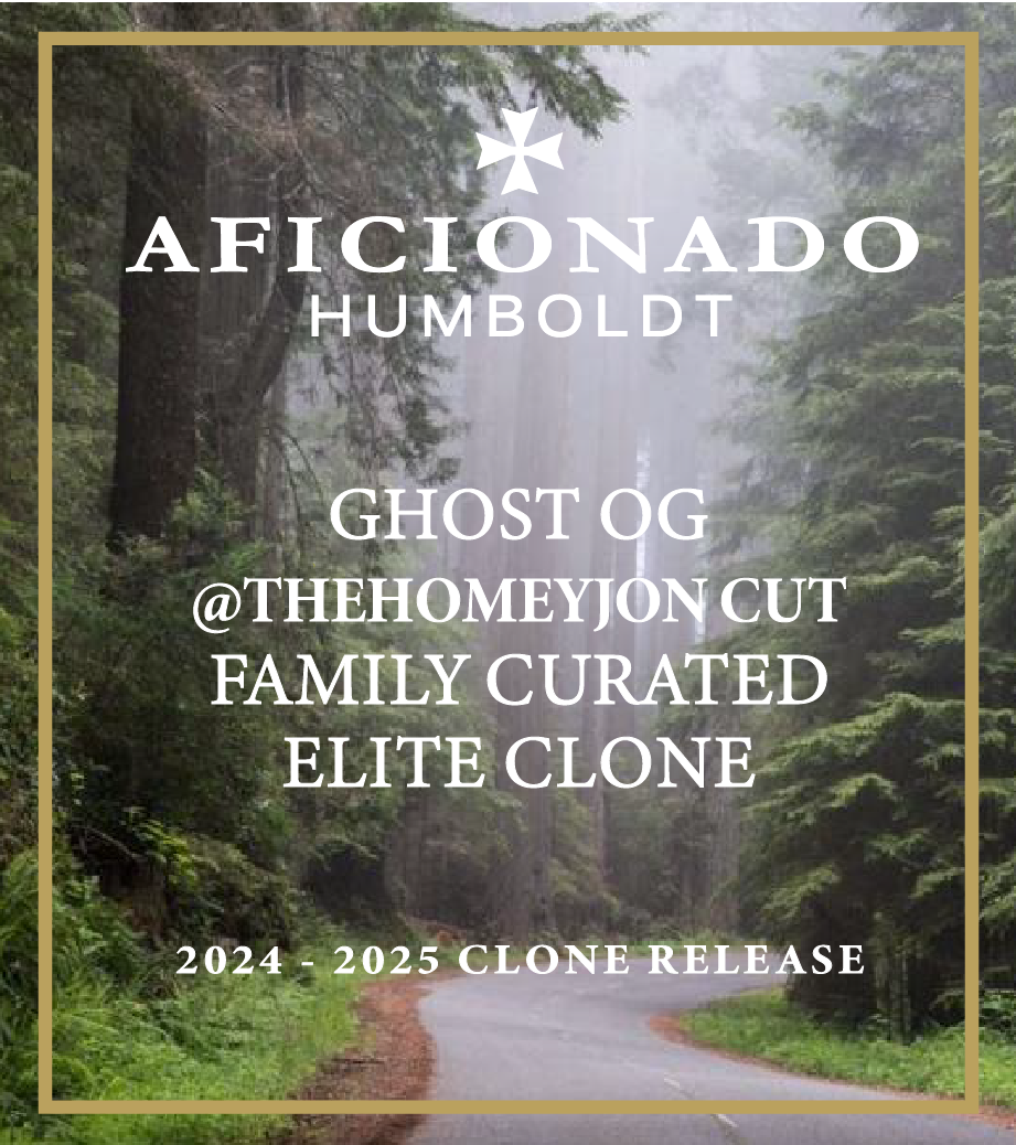 GHOST OG – Aficionado Store