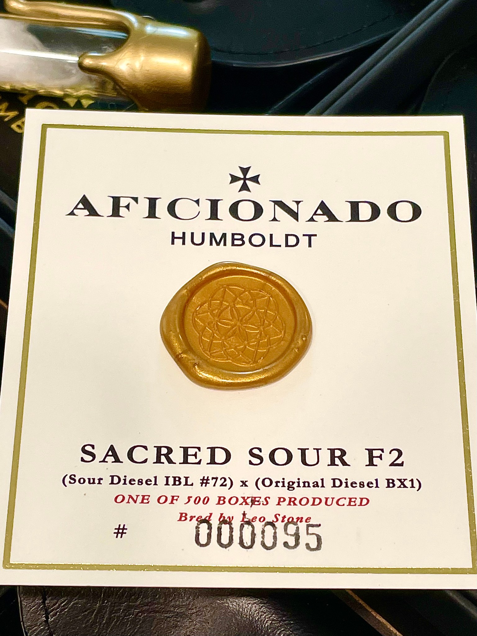 SACRED SOUR F2 – Aficionado Store
