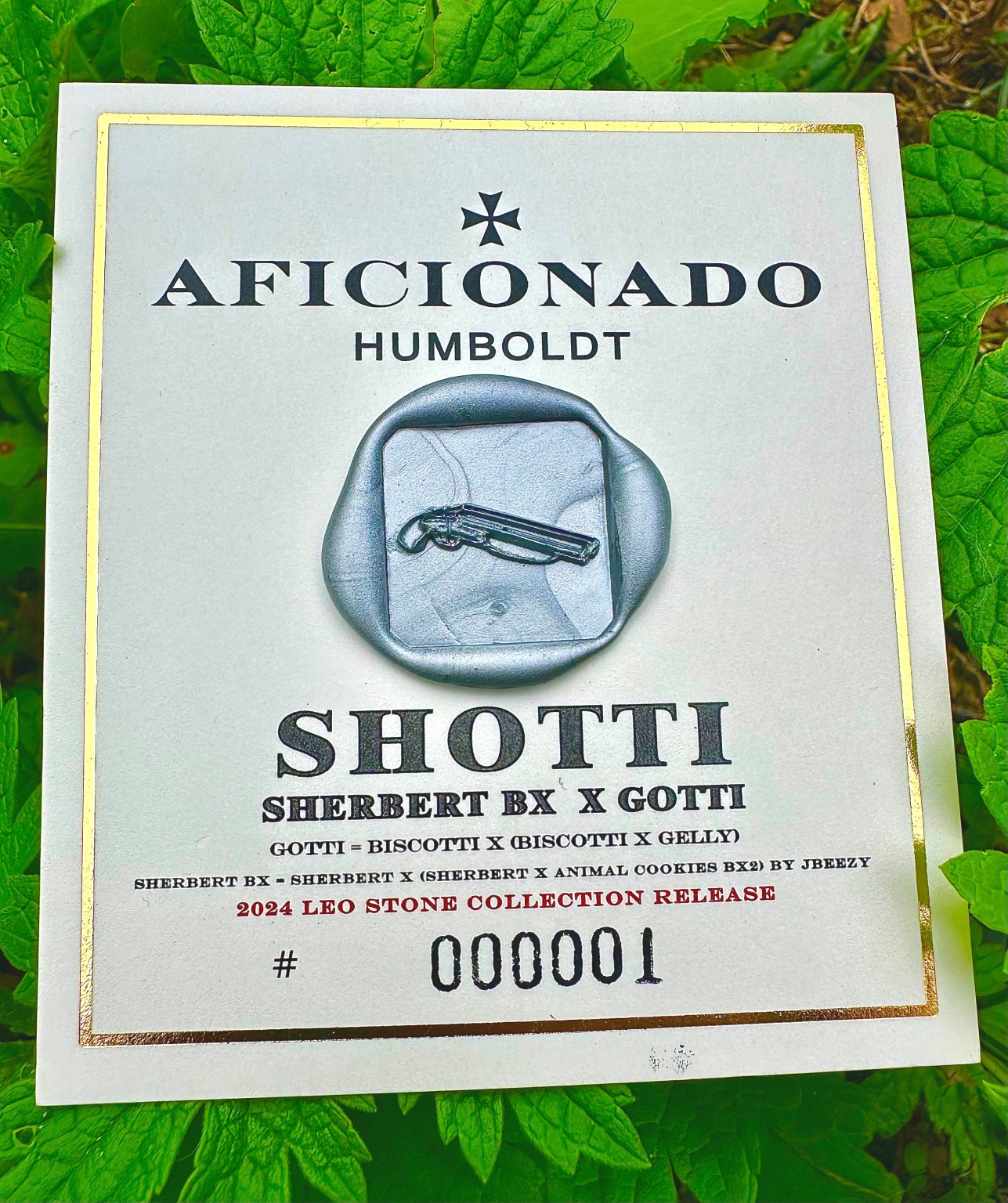 AFICIONADO SEEDS – Aficionado Store